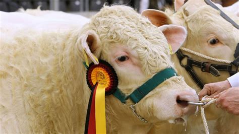 Successful Exhibition Of Genes Diffusion Genetics In Germany