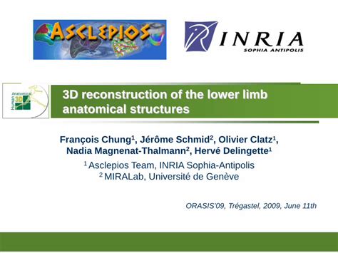 Pdf 3d Reconstruction Of The Lower Limb Anatomical Structures Dokumen Tips