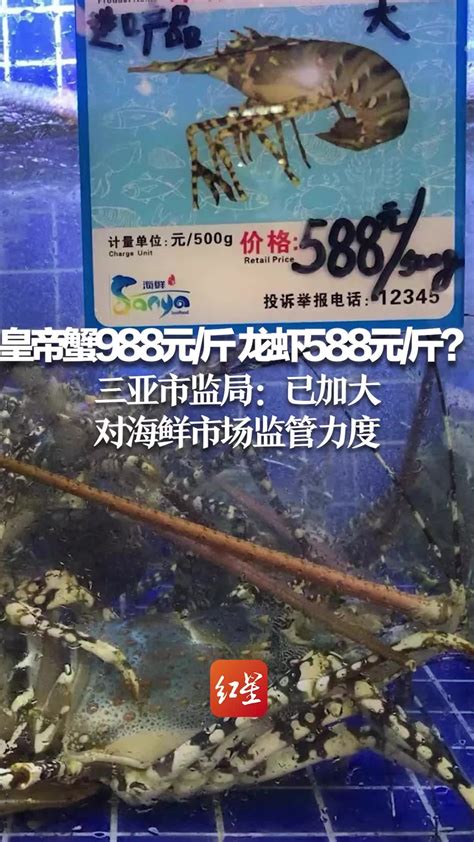 皇帝蟹988元斤 龙虾588元斤？三亚市监局：已加大对海鲜市场监管力度凤凰网视频凤凰网