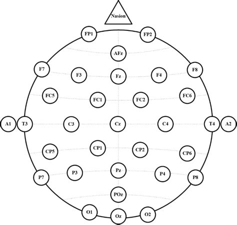Eeg 32 Electrodes Placement System Download Scientific Diagram