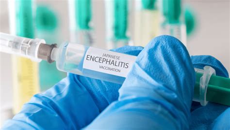 Get the Japanese Encephalitis Vaccine - Shivas Pharmacy