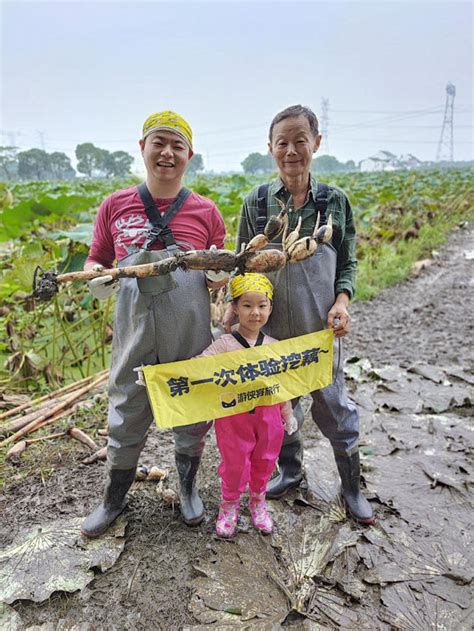 亲子研学户外研学