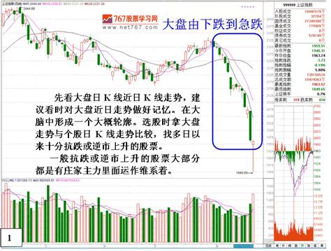 大跌反弹时如何选股 看盘绝招图解教程