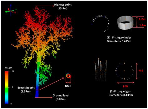 Remote Sensing Free Full Text Terrestrial Laser Scanning As An