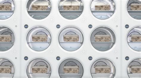 Building The Worlds First Mycelium Biomaterial Research Platform By Ecovative Medium