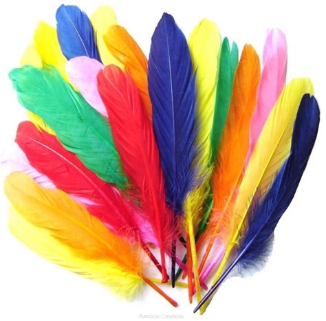 Large Colored Feathers At Katie Eliott Blog