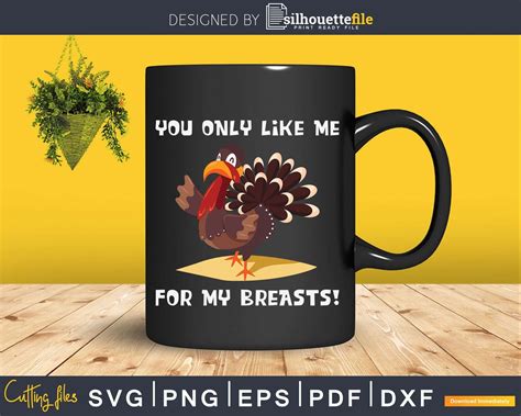 You only like me for my breasts svg cricut craft download files | Silhouettefile