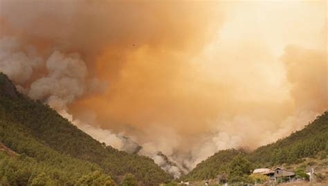 El Incendio En La Isla Española De Tenerife Consume 2600 Hectáreas