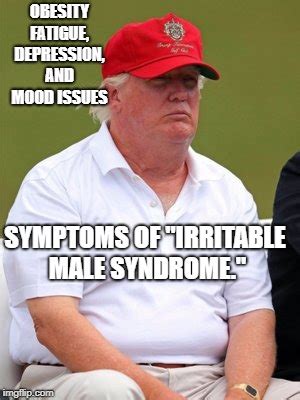 Grumpy Trump Imgflip