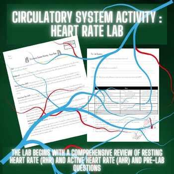 Pulse Heart Rate Lab Data Collection Calculations And Analysis