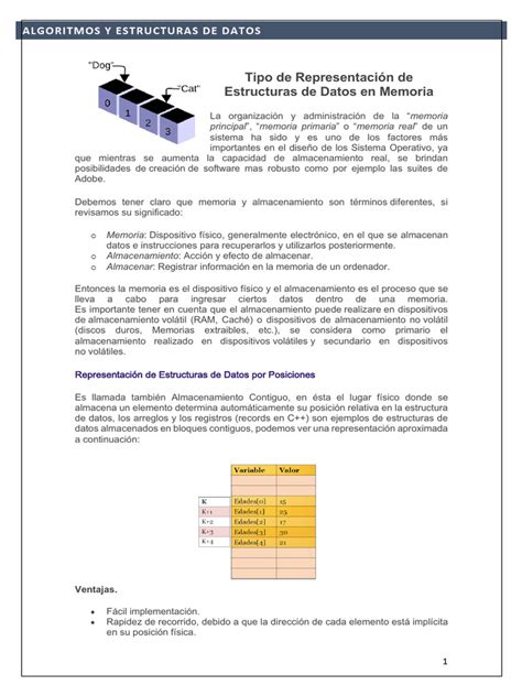 Tipo De Representación De Estructuras De Datos En Memoria Pdf