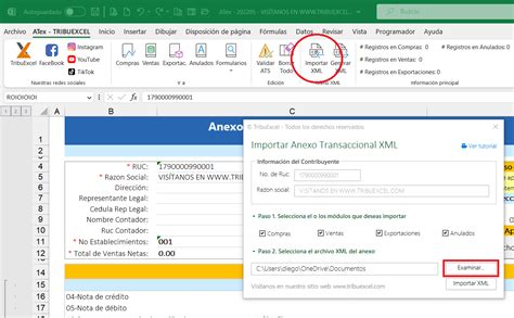 Importarxmlatsexcel Tribuexcel