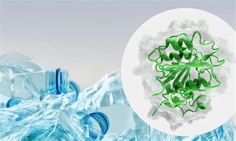 Funding For Researchers Working On Plastic Recycling Enzymes Embl Ebi