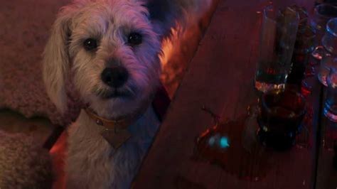 James Gunn Explains How Kryptos Supergirl Return Is Different From His Superman Appearance