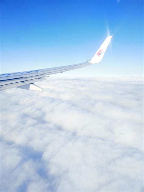 무료 이미지 항공기 푸른 하늘 화이트 구름 높은 고도 층 조직 반사적 인 비행기 여행 공기 호스 낮 분위기 여객기 항공 우주 공학 수평선