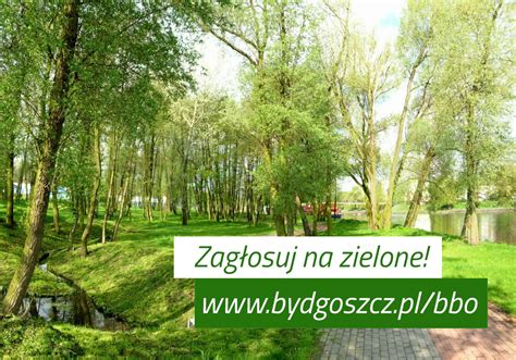 Zielone projekty zgłoszone do Bydgoskiego Budżetu Obywatelskiego 2023