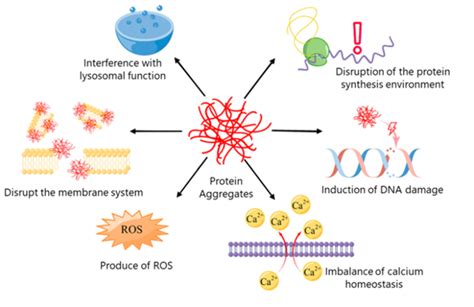 Decoding Aging Breakthroughs Challenges And The Future Of Longevity Drug Development Lumagroup