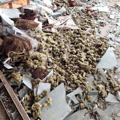 ASBESTOS HANDLING Anes96