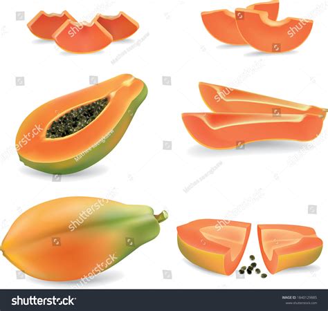 Set Isolated Colored Papaya Pawpaw Paw Stock Vector Royalty Free