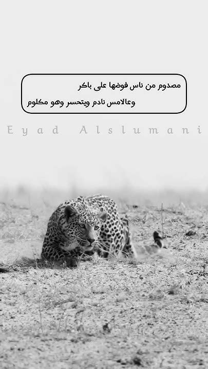 يا ساتر استر من القادم ويا ساتر Youtube