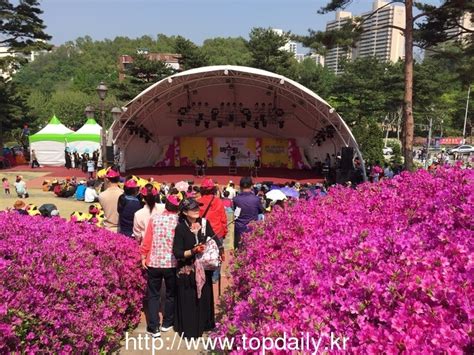 군포시 철쭉축제 주차장 충분히 준비 없어 큰 혼란