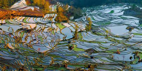 Ultimate Destination Guide For Ubud