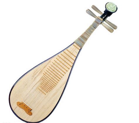 Chinese Lute Pipa Live Music Tutor