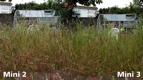 DJI Mini Vs Mini Pro Remember Tap To Focus