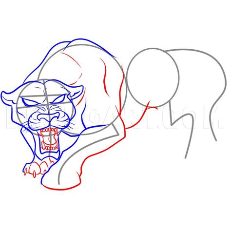 How To Draw A Panther Head Step By Step At Drawing Tutorials