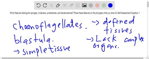 solved a check the distinctive characteristics between cnidarians