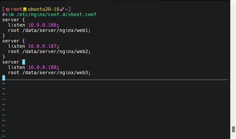 【linux】重生之从零开始学习运维之nginx之server小实践 Csdn博客
