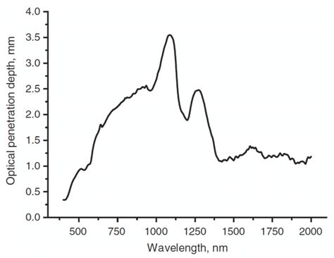 Light Penetration Depth In Mm In Human Skin Left And Mucous Tissue Download Scientific