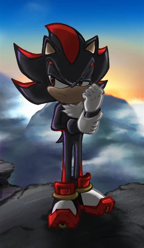 Shadow The Hedgehog In Shadow The Hedgehog Shadow Shadow And Amy