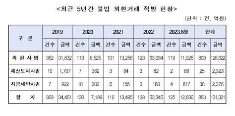 국감 최근 5년간 불법 외환거래 13조원 넘어 환치기 등 외환사범이 96