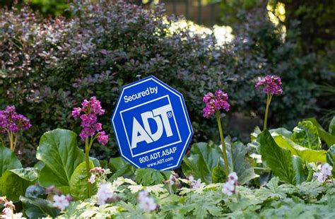 How Home Alarm System Brand Adt Learned To Love Ctv Adexchanger