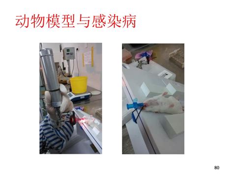 临床微生物学概论抗感染用药专题讲座湖南药事服务网
