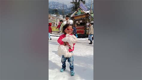 Huge Rabbit At Manali Mall Road Youtube