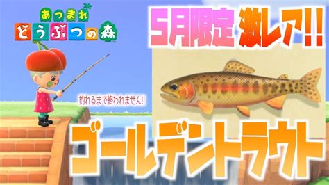 【あつ森】5月限定の魚！！ゴールデントラウトを釣るまでおわれません！！生放送 Youtube