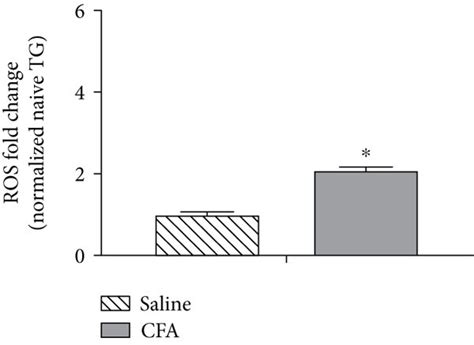 E Bicolor Latex Extract Reduces ROS Levels In Both Male And Female
