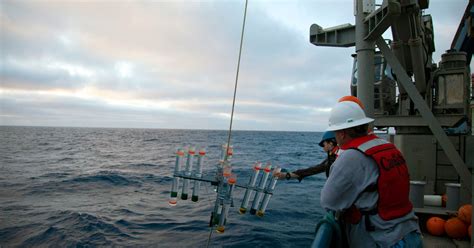 Fsu Researchers Analyze Carbon Sequestration In California Current