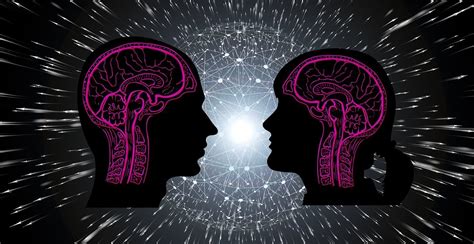 Highly Reproducible Sex Differences In Aspects Of Human Brain Anatomy