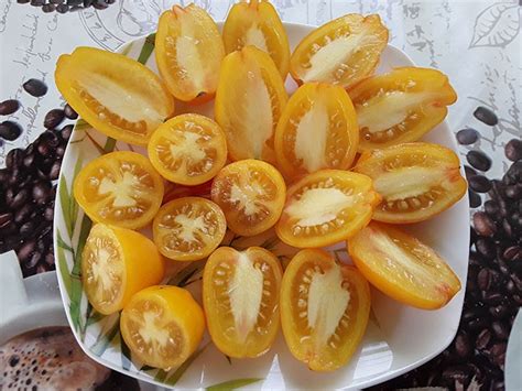 Семена: Томат Гном Банановые пальчики / Dwarf Banana Toes/. Сорта ...
