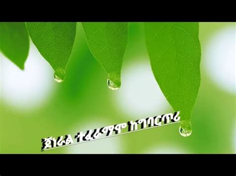 ሰበር ጀነራ ተፈራ ማሞ ከግባር ጥሪ ሐምሌ 3 2016 YouTube