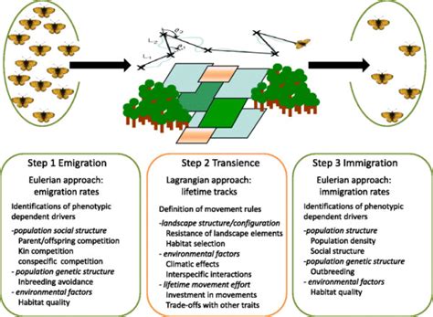 a mixed eulerian lagrangian approach to dispersal emigration and