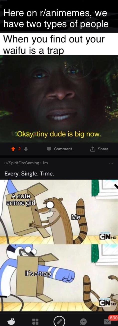No Homo Tho R Animemes