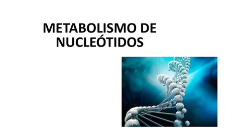Metabolismo De Nucleótidos Luis A Udocz