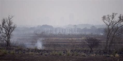 La Lluvia Apagó Todos Los Focos De Incendios En El Delta Del Paraná