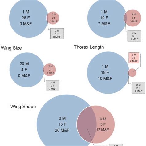Lines Showing Significant Effects For Each Trait Temperature And Sex