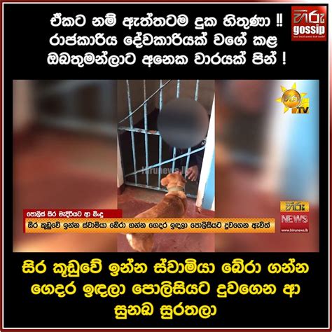 “සත්තු කවදාවත් බොරුවට ආදරේ කරන් නෑ 🥺🥰 “සත්තු කවදාවත් බොරුවට ආදරේ
