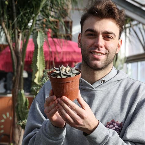 Ariocarpus Retusus Ø 12 Cm Cod 1374f Rare Plants